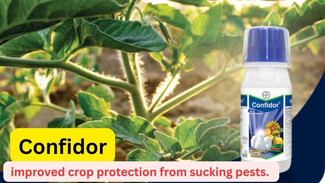 Confidor Insecticide: Advanced Pest Control Solutions