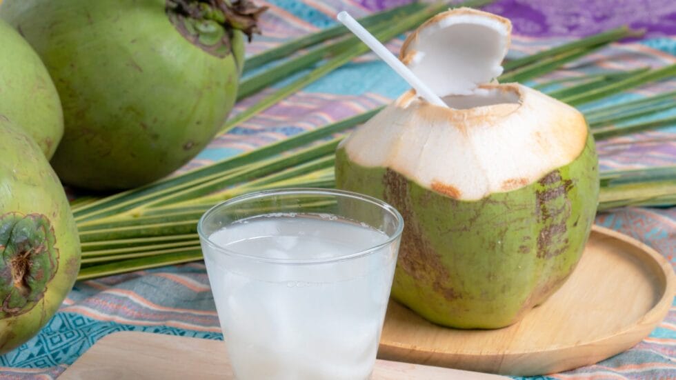 Can coconut really fight disease? - Agritell.com