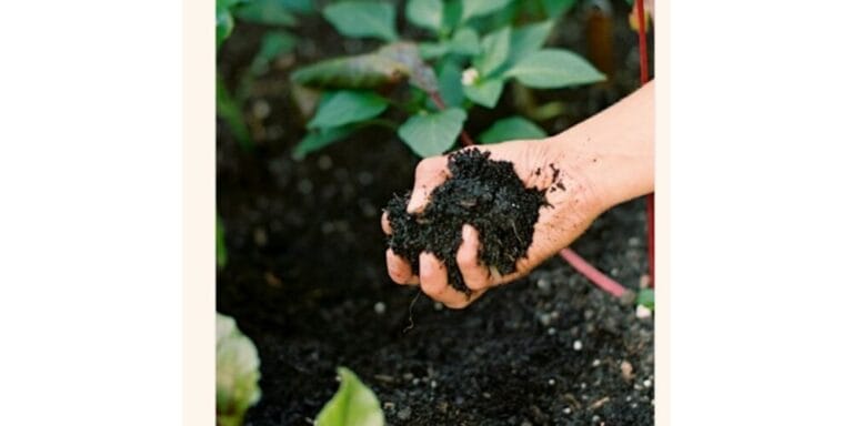 Basics of Composting at Home: A Complete Beginner’s Guide – Agritell.com